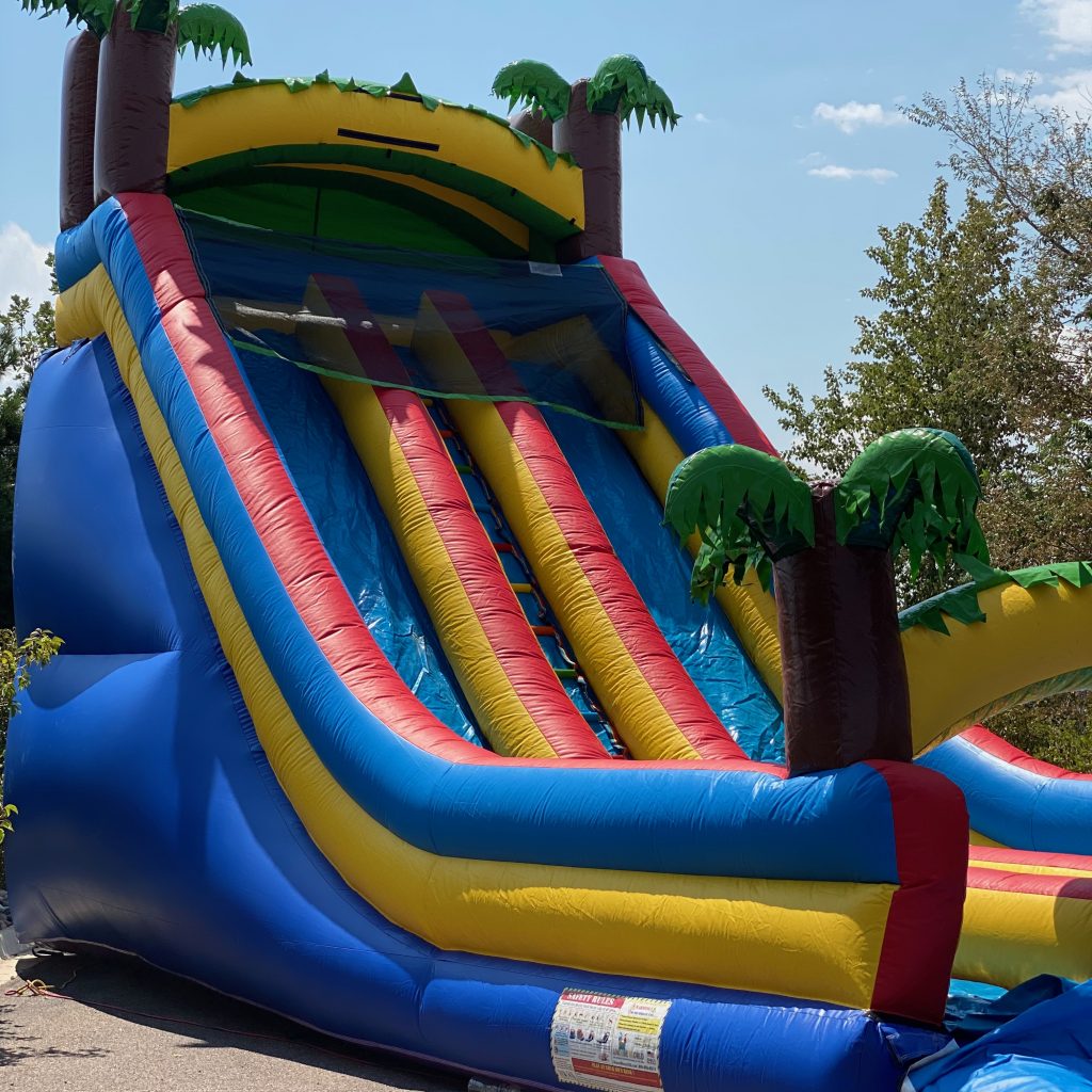 Mega Palm Double Water Slide - Bounce House Rentals & Water Slides